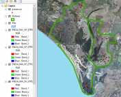 Generating a fishnet grid of a species abundance and distribution with ...