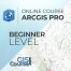 ArcGIS Pro Online Course, From Beginner to Advanced