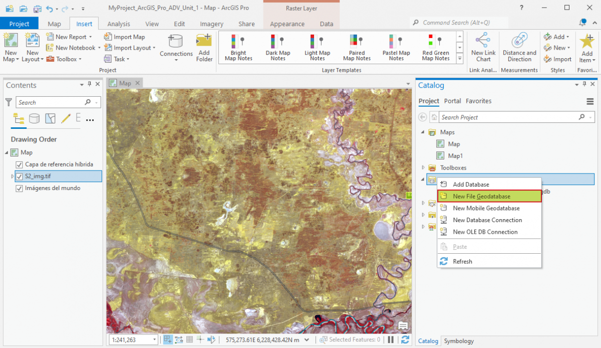 What you will learn in the ArcGIS Pro Advanced Level Course